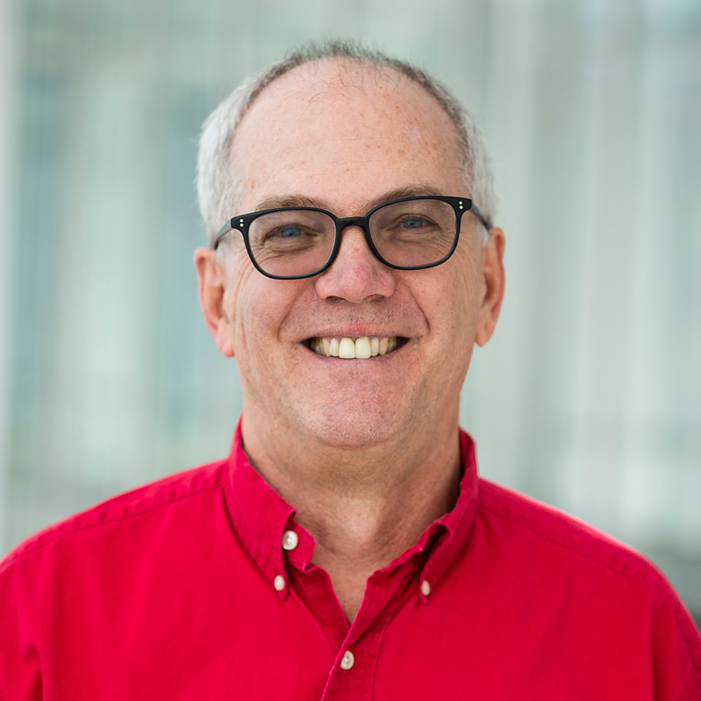 Daniel Stein | UMD Department of Cell Biology & Molecular Genetics